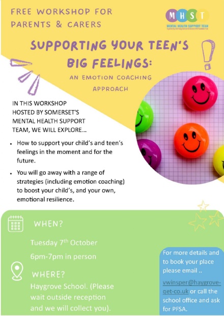 Haygrove School - New Workshop for Parents - Managing big feelings